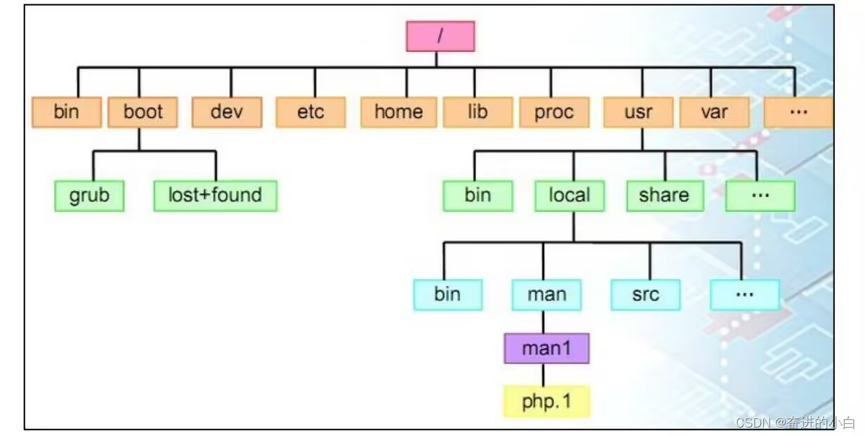 Linux系统概览与核心命令-CSDN博客