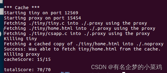 CSAPP的Lab学习——ProxyLab_proxylab实验-CSDN博客