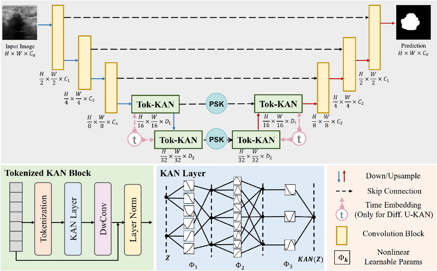 u-kan-optimize_pytorch图像分割模型_ukan模型-CSDN博客