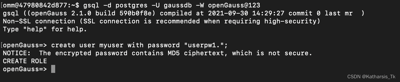 macOS使用docker容器安装openGauss并用Dbeaver连接_mac 安装opengauss-CSDN博客
