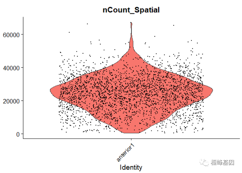 SCS【21】单细胞空间转录组可视化 (Seurat V5)-CSDN博客