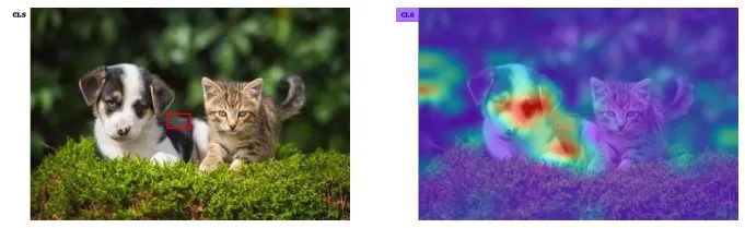 最强辅助Visualizer：简化你的Vision Transformer可视化！-CSDN博客