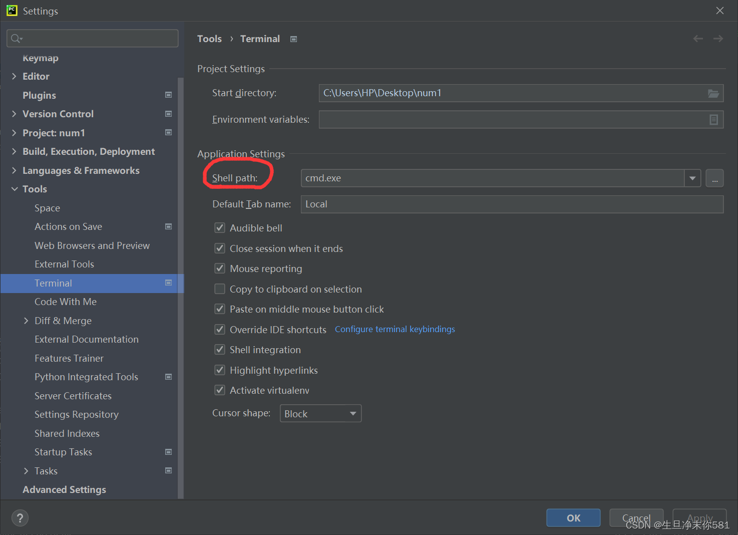 （python) PyCharm: 解决Cannot open Local Terminal_connot open local-CSDN博客