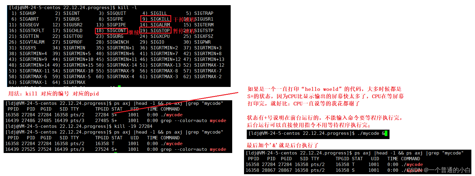 【Linux进程】进程的基本概念，fork的使用，各种状态的含义，孤儿和僵尸进程的含义_linux fork子进程 僵尸进程-CSDN博客