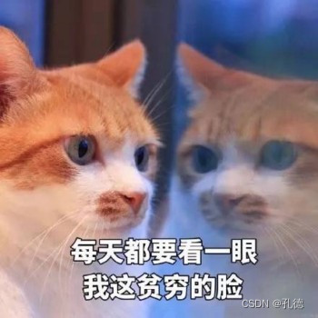 AndroidUtilCode utilcode API_com.blankj:utilcodex:1.31.1-CSDN博客