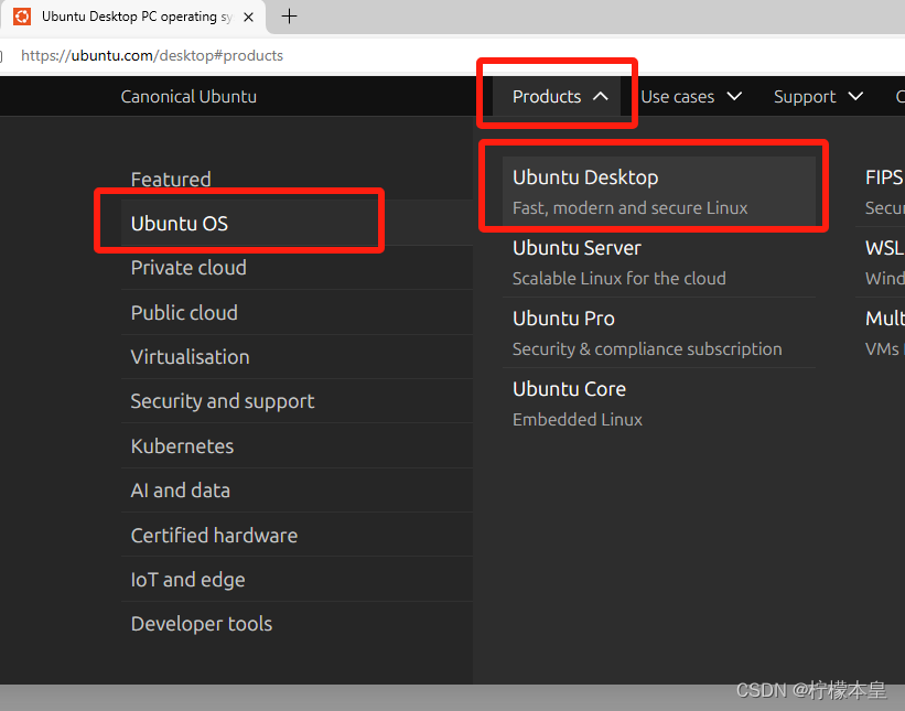 Ubantu24.04 系统U盘制作 Ubuntu安装教程_制作ubuntu系统u盘-CSDN博客