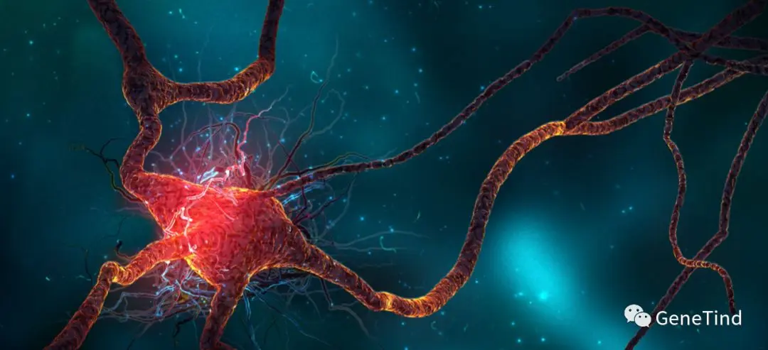 10X单细胞（10X空间转录组）降维分析之UMAP-CSDN博客