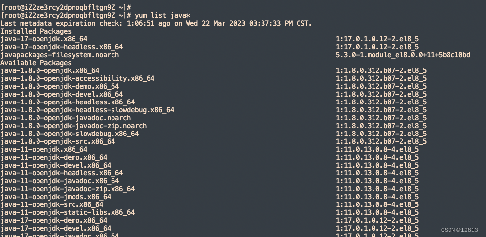 java学习之路(Linux 安装Java环境)_linux yum安装java17-CSDN博客