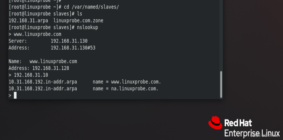 Linux实验记录：使用BIND提供域名解析服务_bind服务-CSDN博客