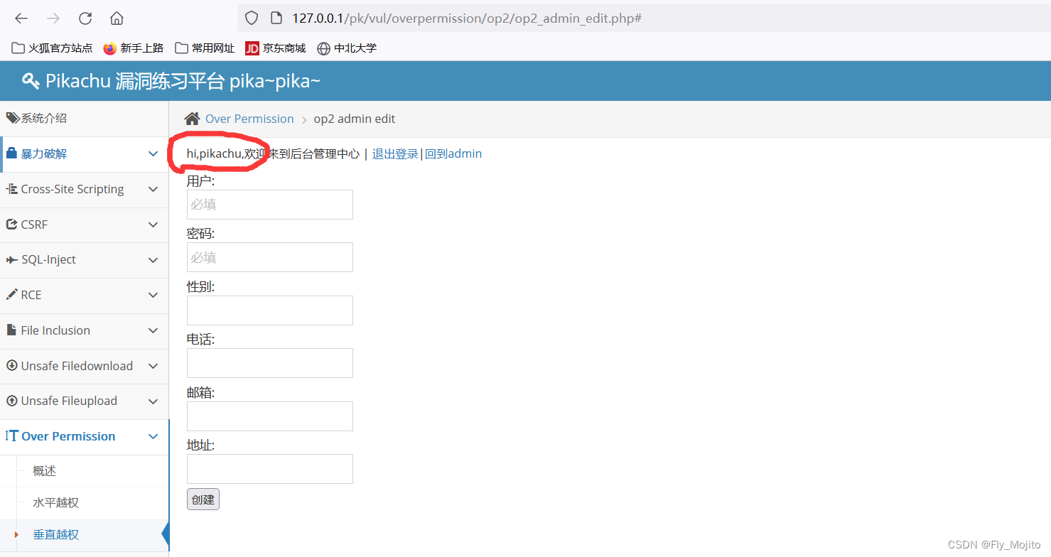 皮卡丘Over Permission-CSDN博客