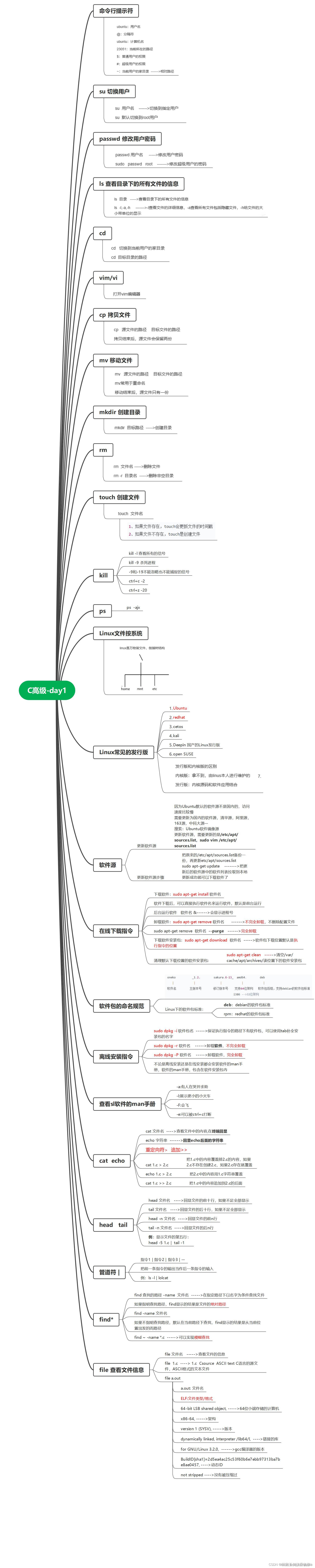 C高级day1-CSDN博客