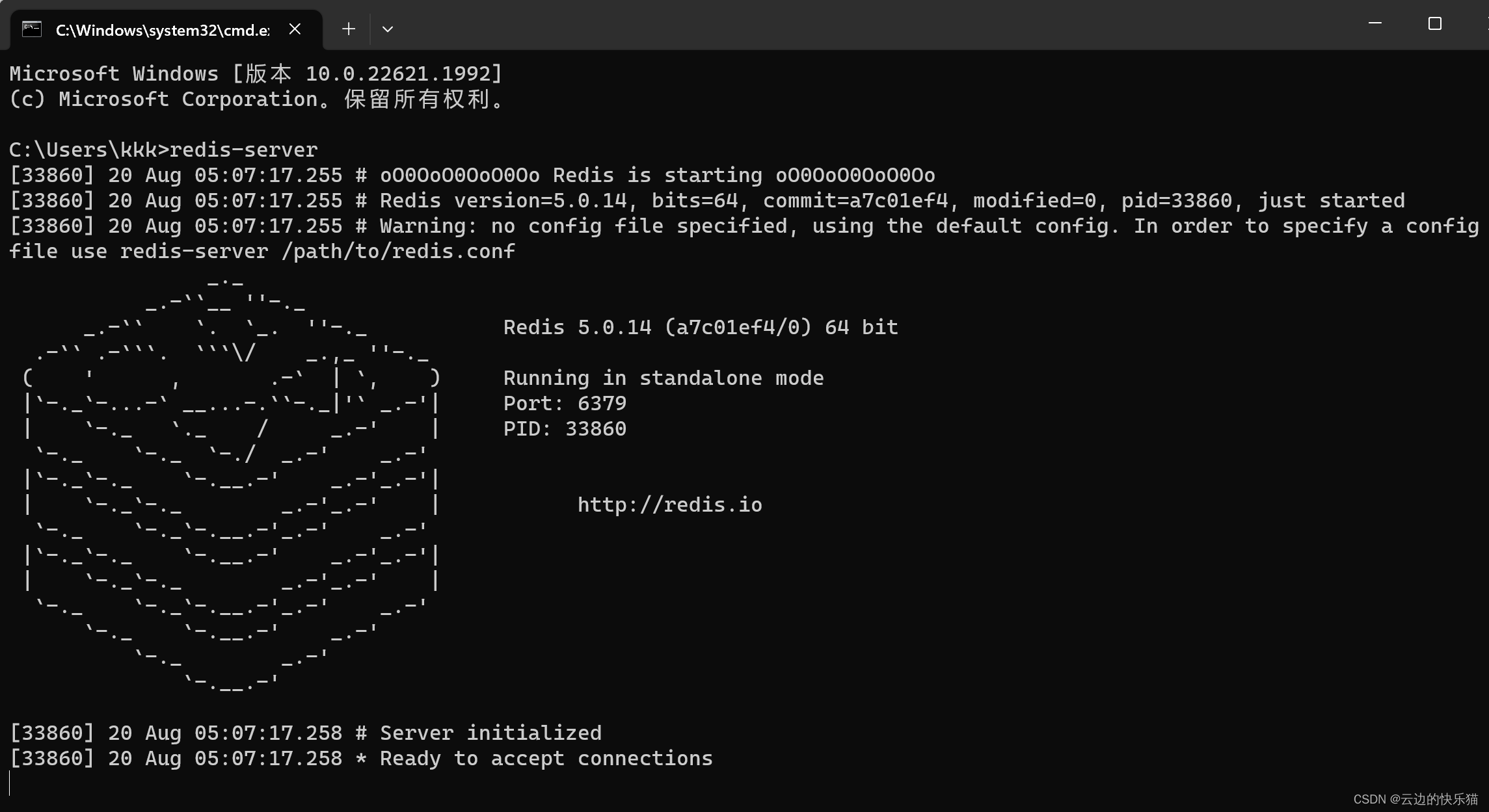 redis下载安装启动的详细步骤（Windows）_windows下载redis-CSDN博客