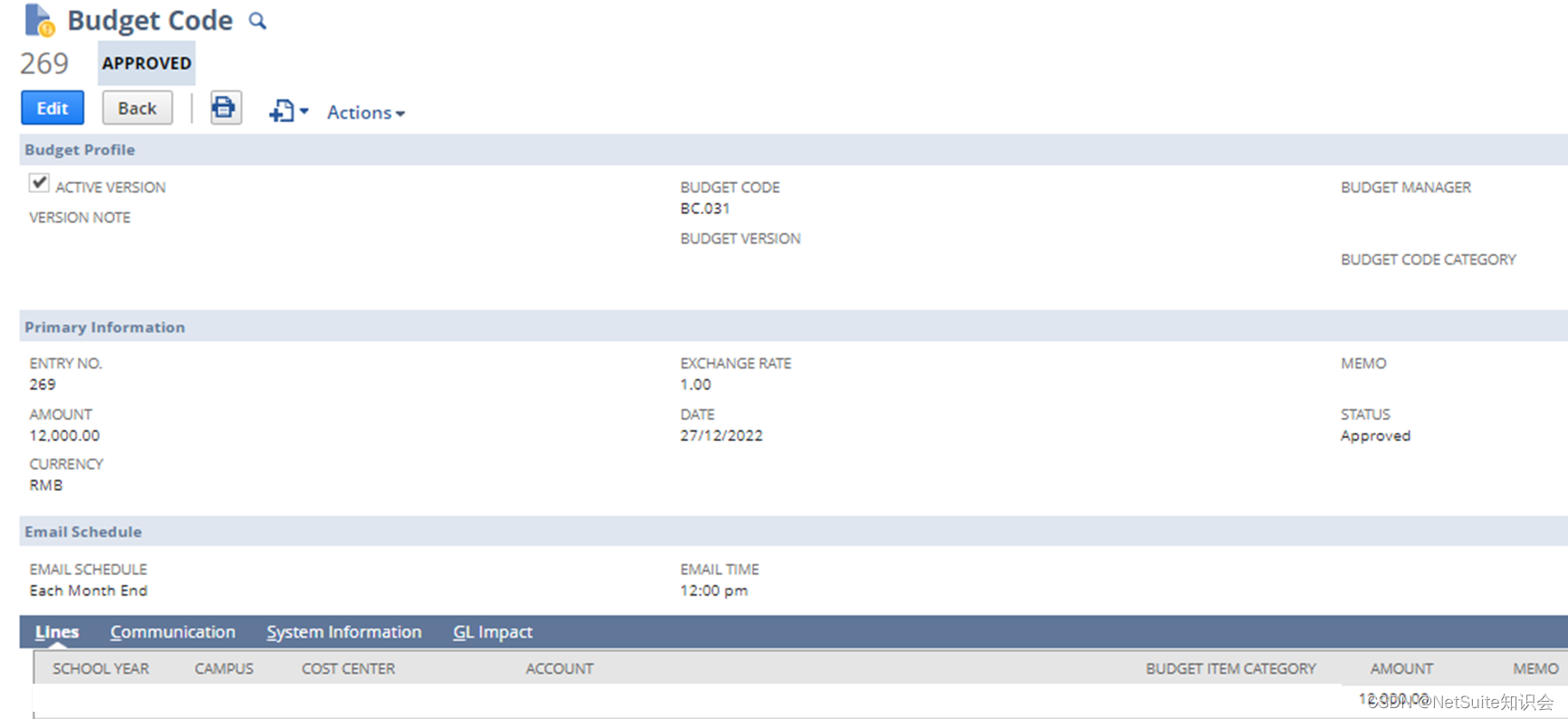 NetSuite预算管理从零搭建的实践_netsuite 账龄组件-CSDN博客