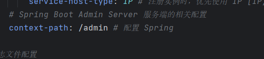 Spring Boot Admin 在中无法正常访问的问题 Springbootadmin Assets访问不到 Csdn博客