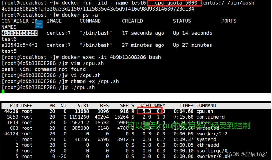 Docker Cgroups资源控制操作_docker中cgroup怎么使用-CSDN博客