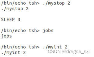 实验四-Shelllab实验（csapp、计算机系统外壳实验）_shell lab-CSDN博客