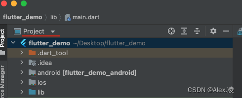 Flutter 项目代码目录详解_flutter linux 下的代码都在lib文件-CSDN博客