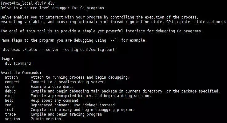 goland 远程调试 golang_goland远程debug-CSDN博客