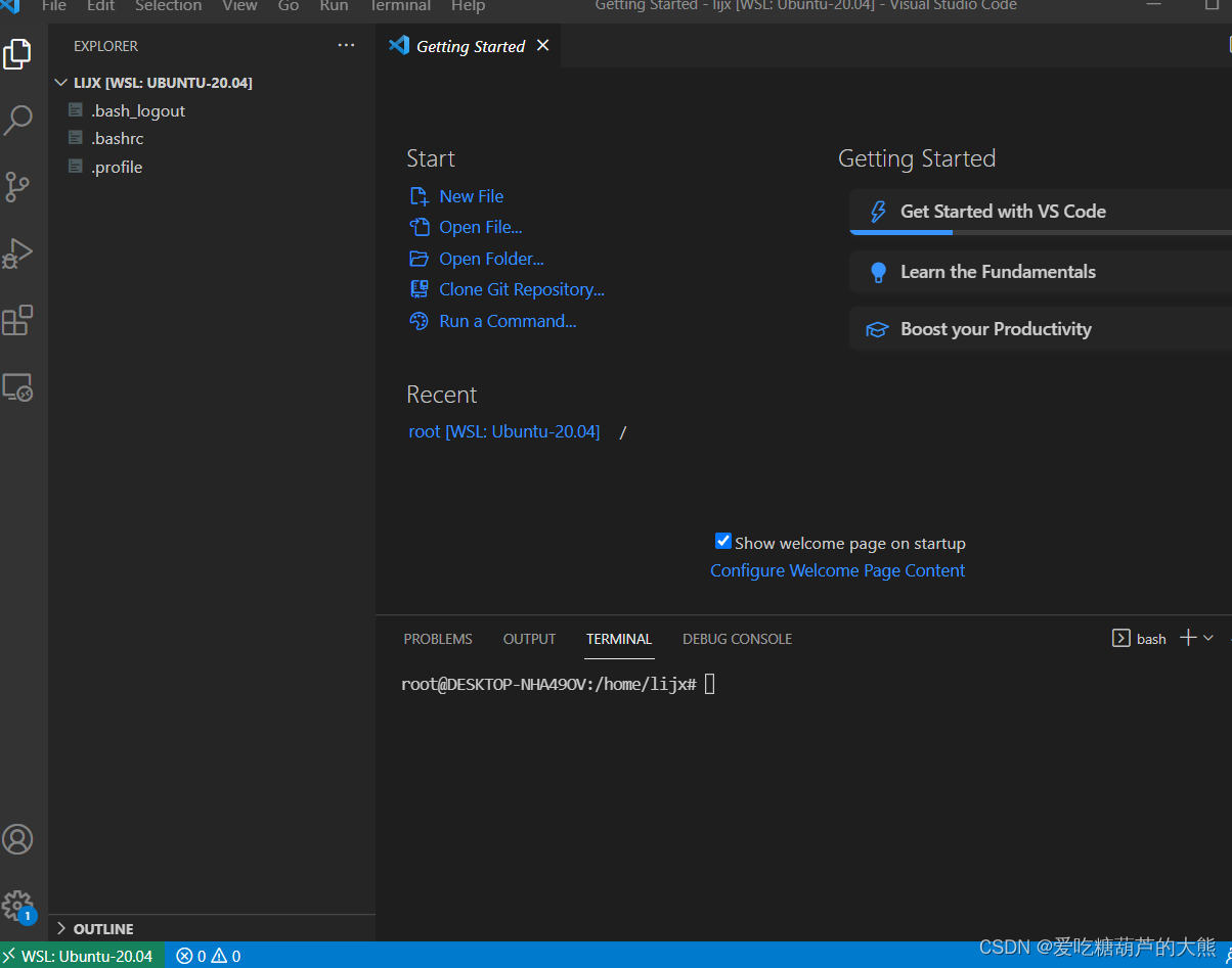 Windows+wsl2+vscode+anaconda+多版本cuda_vscode + wsl+ cuda-CSDN博客