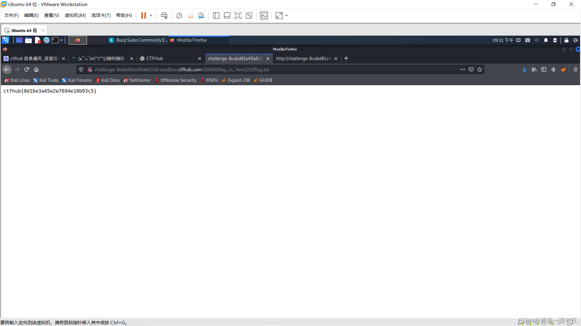 2021-11-08_ctfhub打不开-CSDN博客