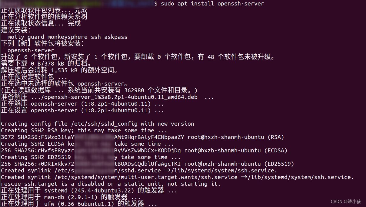 【BUG】 ssh安装出错：在处理时有错误发生： openssh-serverE: Sub-process /usr/bin/dpkg returned an error code (1 ...