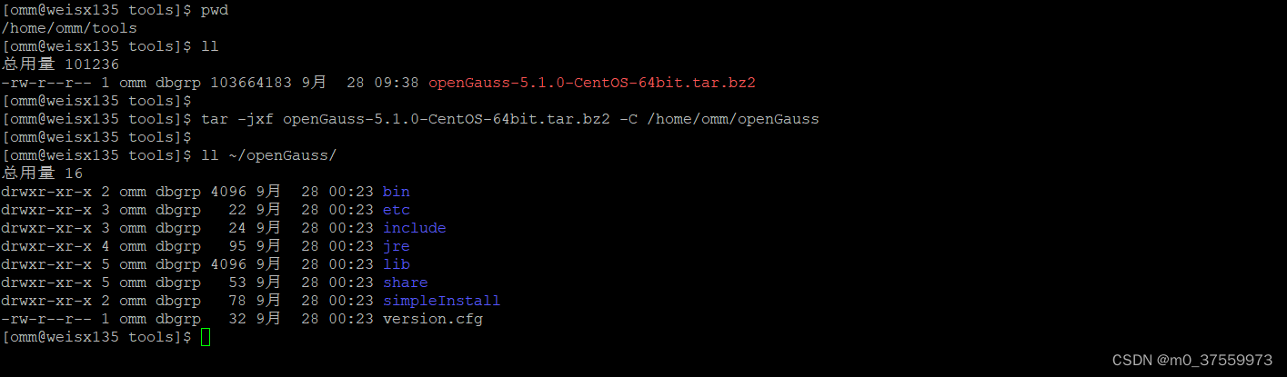 openGauss：极简版安装-CSDN博客