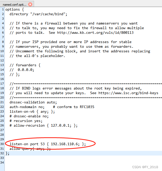 Ubuntu搭建DNS服务器-2_ubuntu搭建ddns转发服务器-CSDN博客