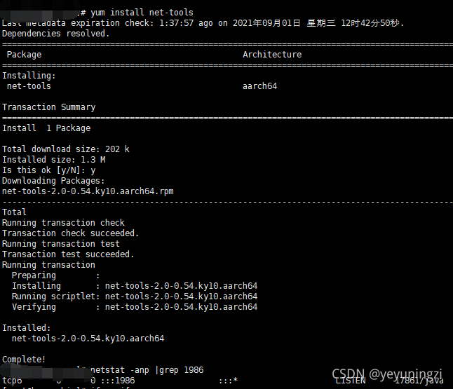 银河麒麟服务器系统使用netstat命令提示 Bash Netstat：未找到命令麒麟系统缺少netstat命令 Csdn博客