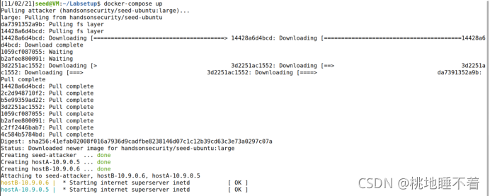 从入门到入土： Seed Lab Packet Sniffing And Spoofing Lab嗅探与欺骗实验详细说明实验步骤实验截图seed Lab实验 Csdn博客