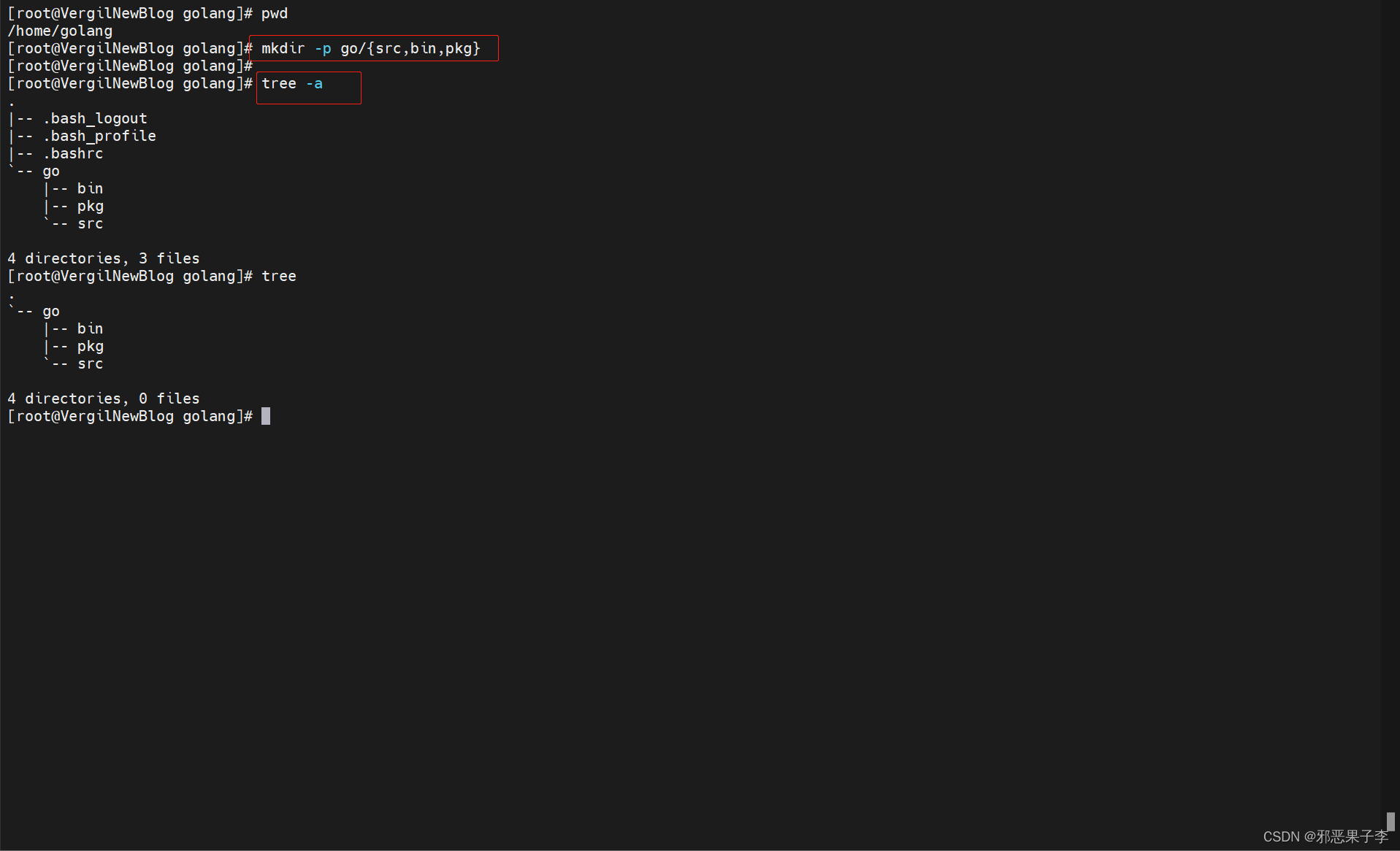 Linux配置安装Golang环境_linux golang环境安装-CSDN博客