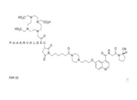 FAPI-10，成纤维细胞激活蛋白，具有独特的肽链内肽酶活性，可进行定制服务_成纤维细胞活化蛋白 结构功能-CSDN博客
