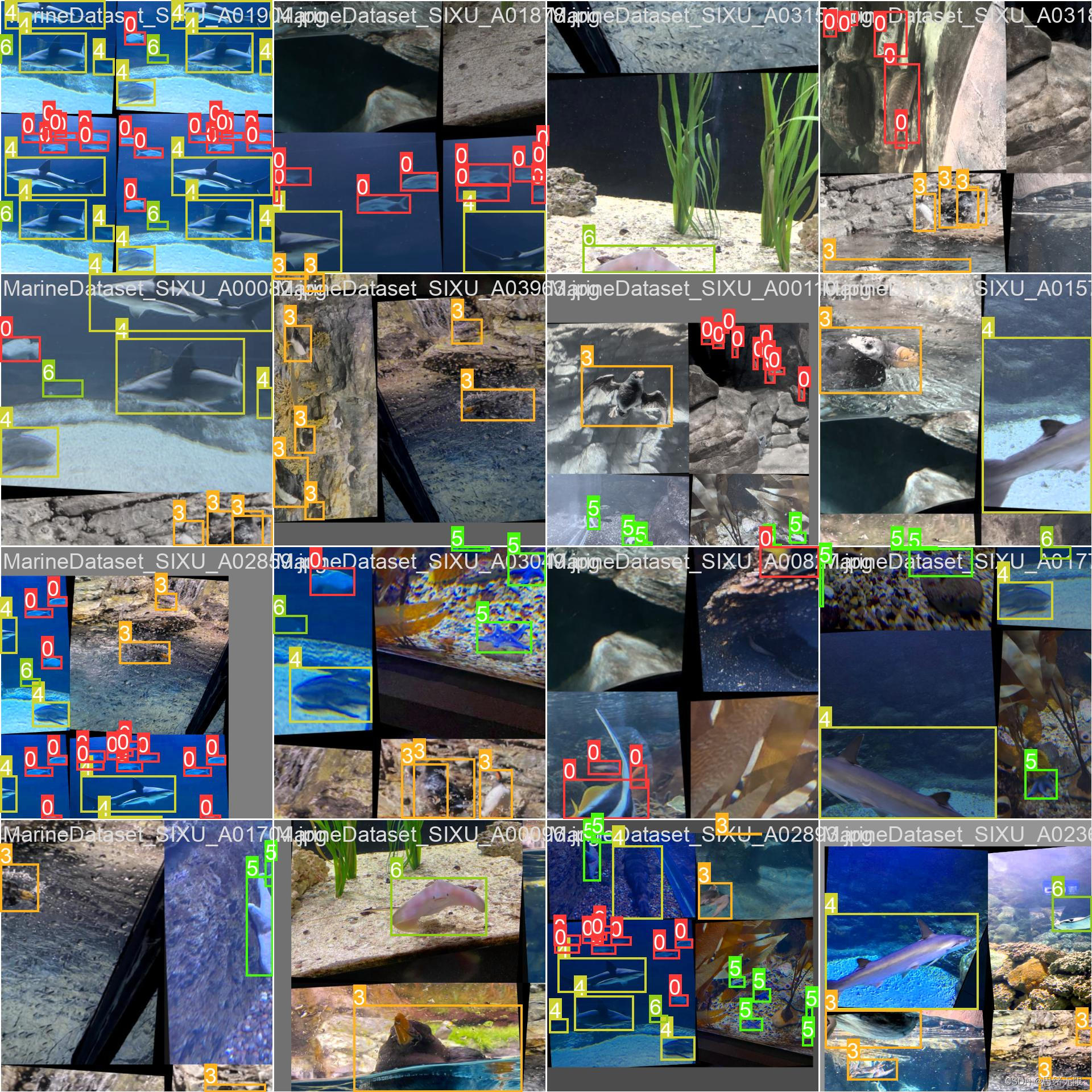 基于YOLOv8/YOLOv7/YOLOv6/YOLOv5的海洋动物检测系统（Python+PySide6界面+训练代码）_基于yolov8的 ...