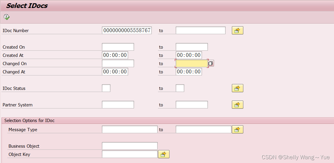 SAP 如何查看IDOC报错_we02 sap-CSDN博客