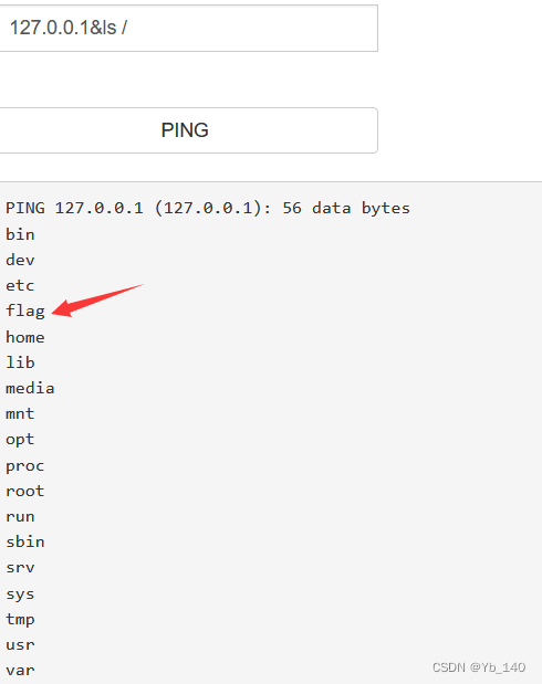 [ACTF2020 新生赛]Exec-CSDN博客