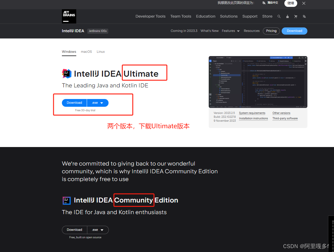 idea下载与安装，以及创建一个项目写HelloWorld_code with me一定要激活吗-CSDN博客