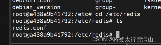 自存 docker里的创建的redis redis.conf没有怎么办_下载的 redis 无 windows.conf-CSDN博客
