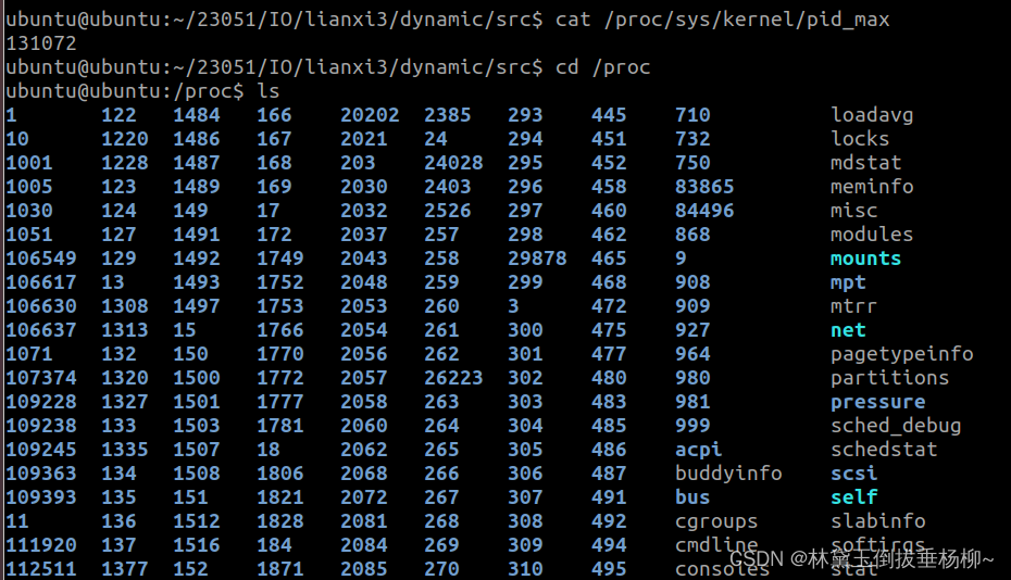 IO-day4-目录、进程-CSDN博客