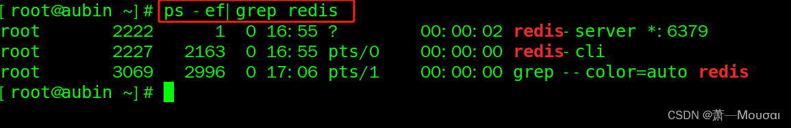 Linux系统安装Redis7（详细版）_linux安装redis7-CSDN博客
