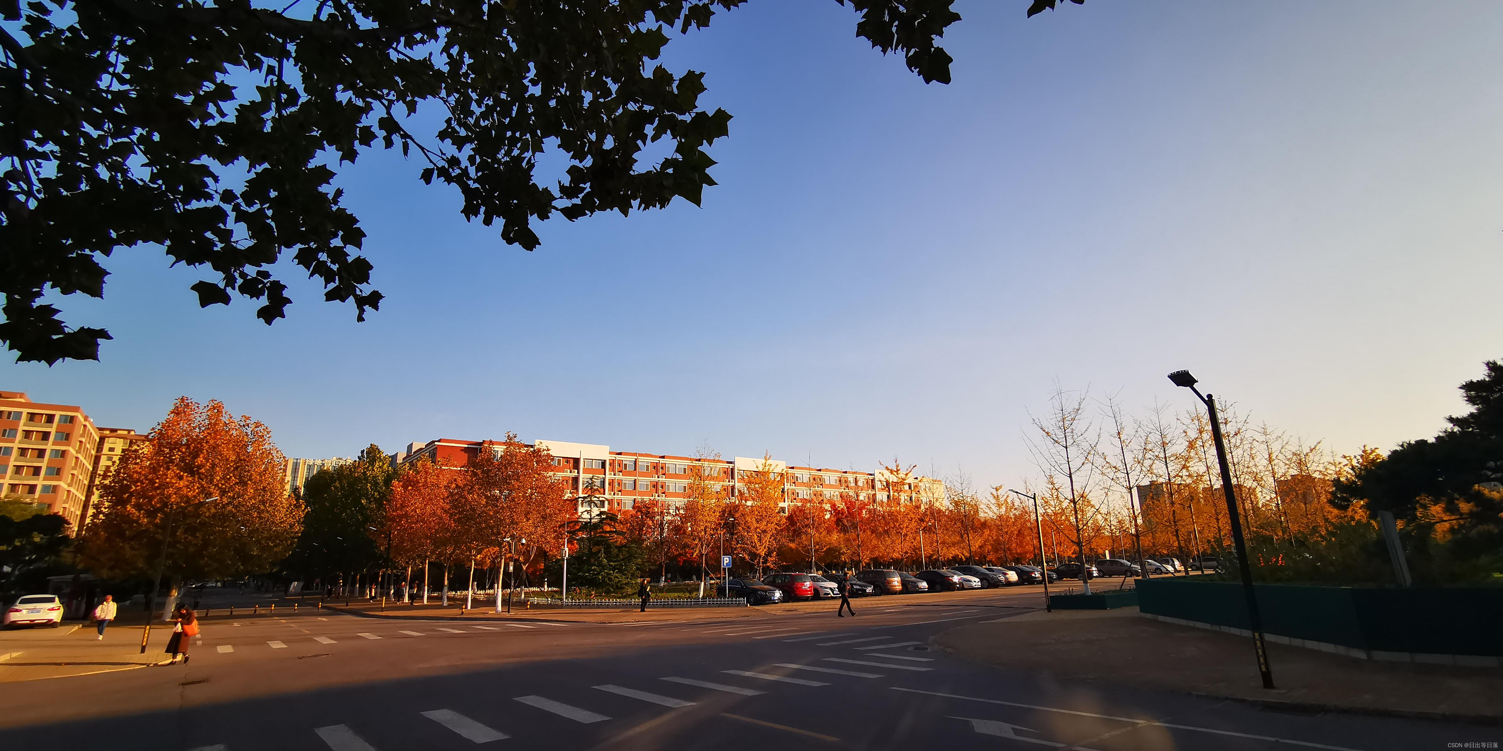 【数据结构】队列的实现数据结构队列实现 Csdn博客