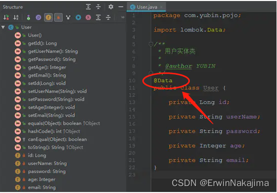最新版IDEA（或Android Studio）Lombok的使用方法_android lombok-CSDN博客