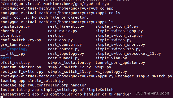 RYU安装指南-CSDN博客