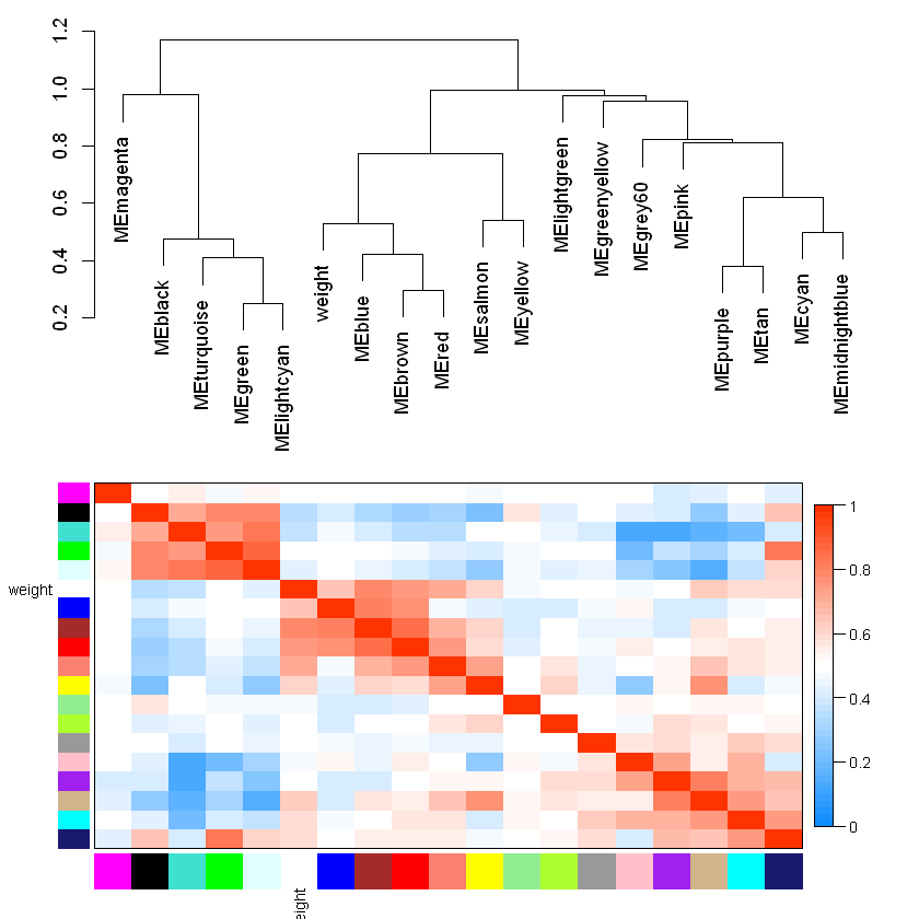 [R语言] WGCNA入门教程_r wgcna-CSDN博客