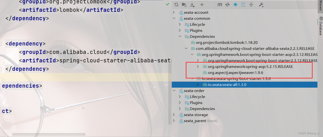 如何解决错误提示：java: 警告: Connot resolve io.seata:seata-all:1.3.0_could not resolve version conflict ...