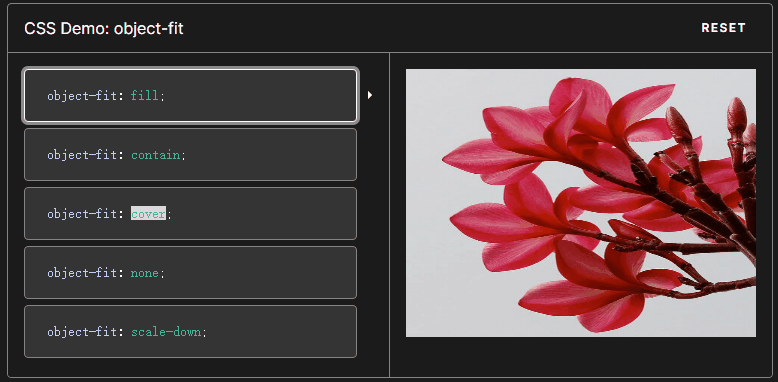 CSS - ＜img＞ 图片裁剪 object-fit 属性，指定图片应该 “如何去适应“ 容器的高度与宽度（详细示例代码）_css img fit-CSDN博客