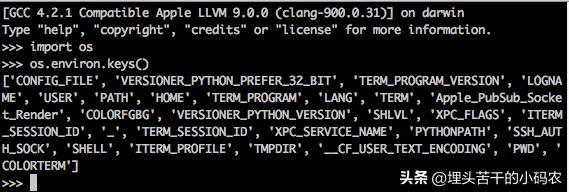getenv获取不到环境变量_一篇文章搞定使用os.environ获取与设置系统变量-CSDN博客