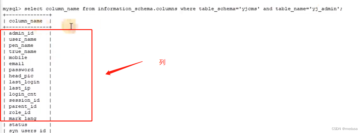 1.2SQL注入篇之information_schema数据库利用_sql使用information schema表-CSDN博客