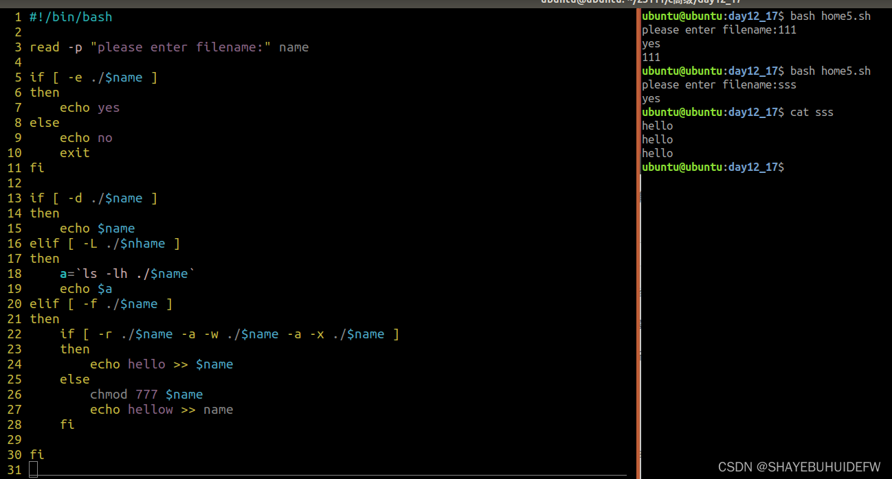 shell_day12/17-CSDN博客