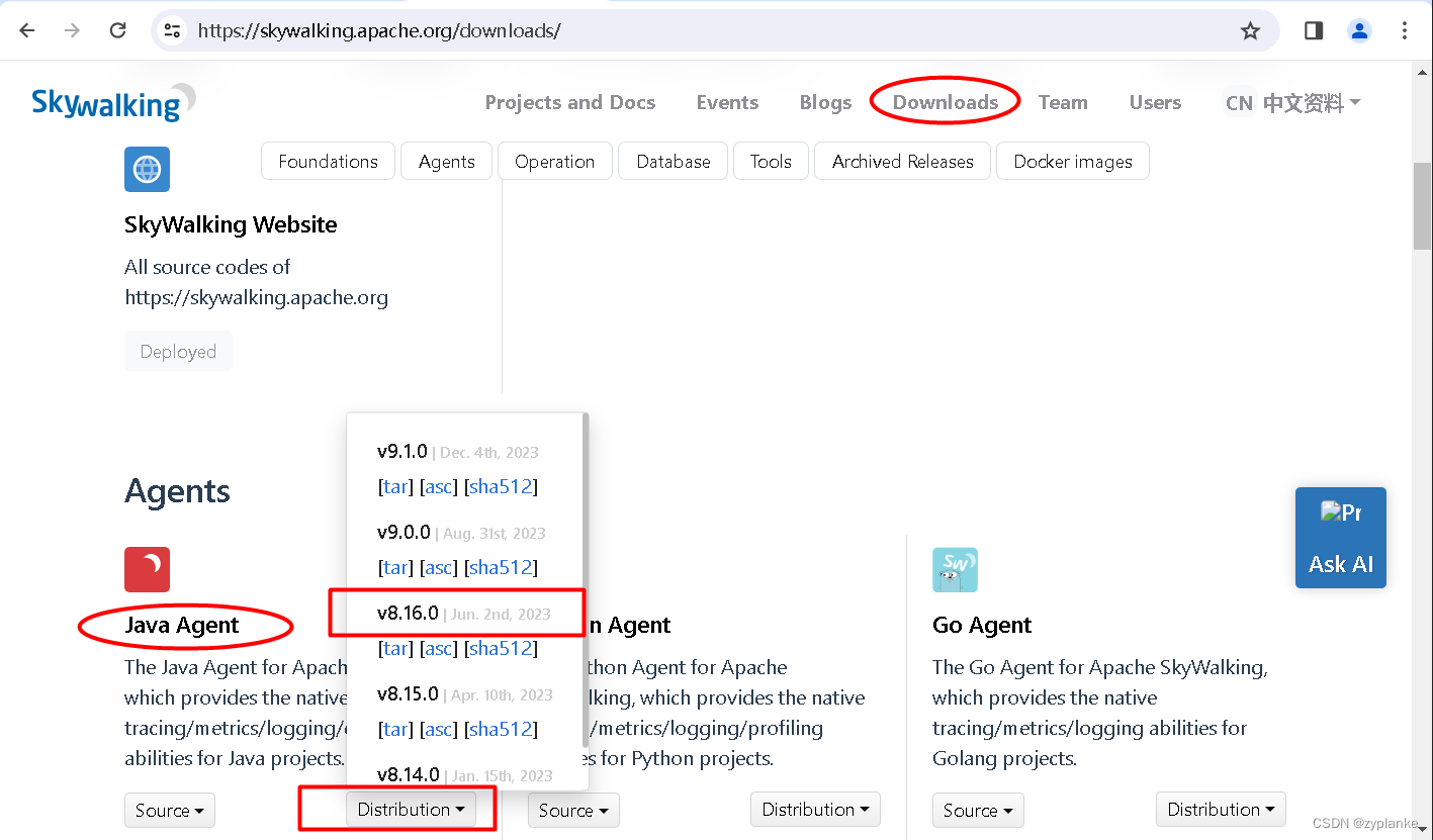 7.SpringCloud：Skywalking链路追踪和OpenTracing对接_springcloud skywalking-CSDN博客