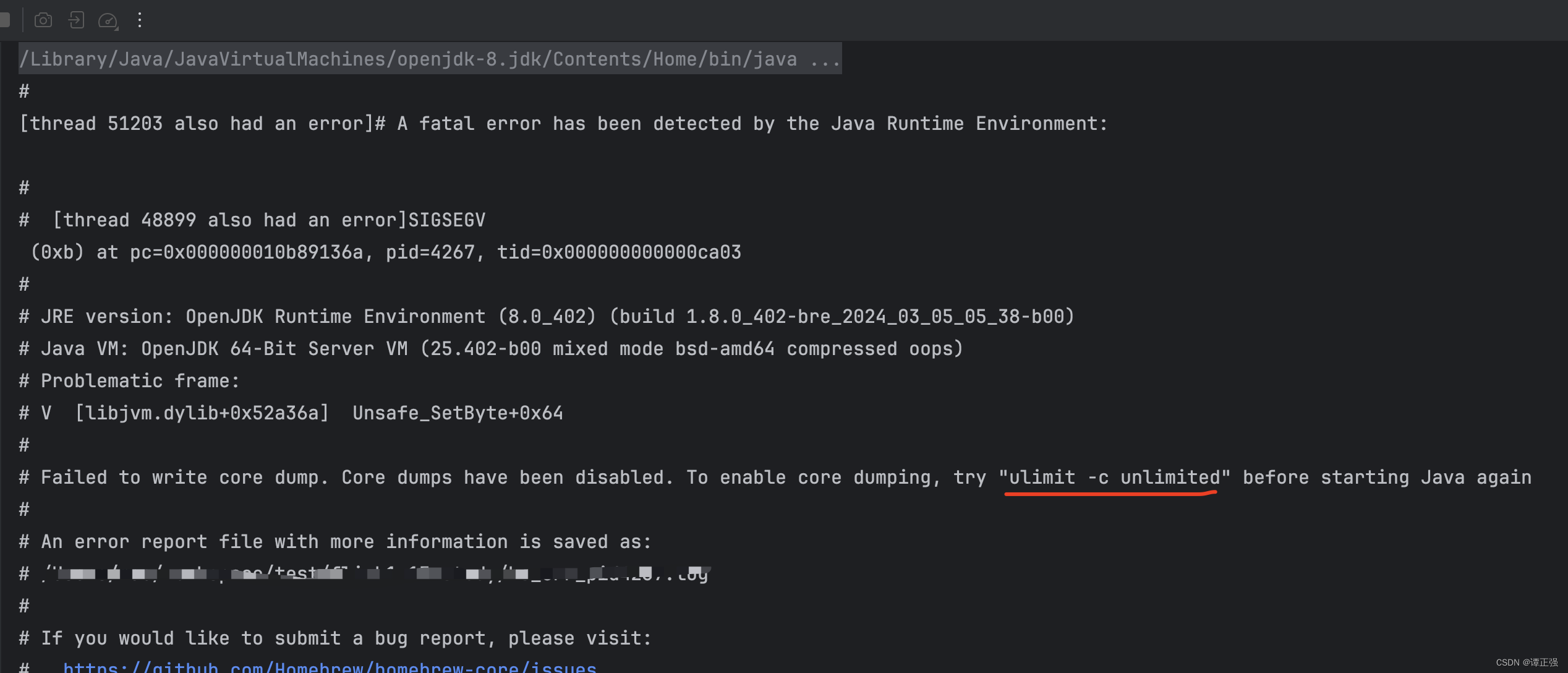 一个 Java8 的坑坑了我 2 小时试错..._to enable core dumping, try "ulimit -c ...